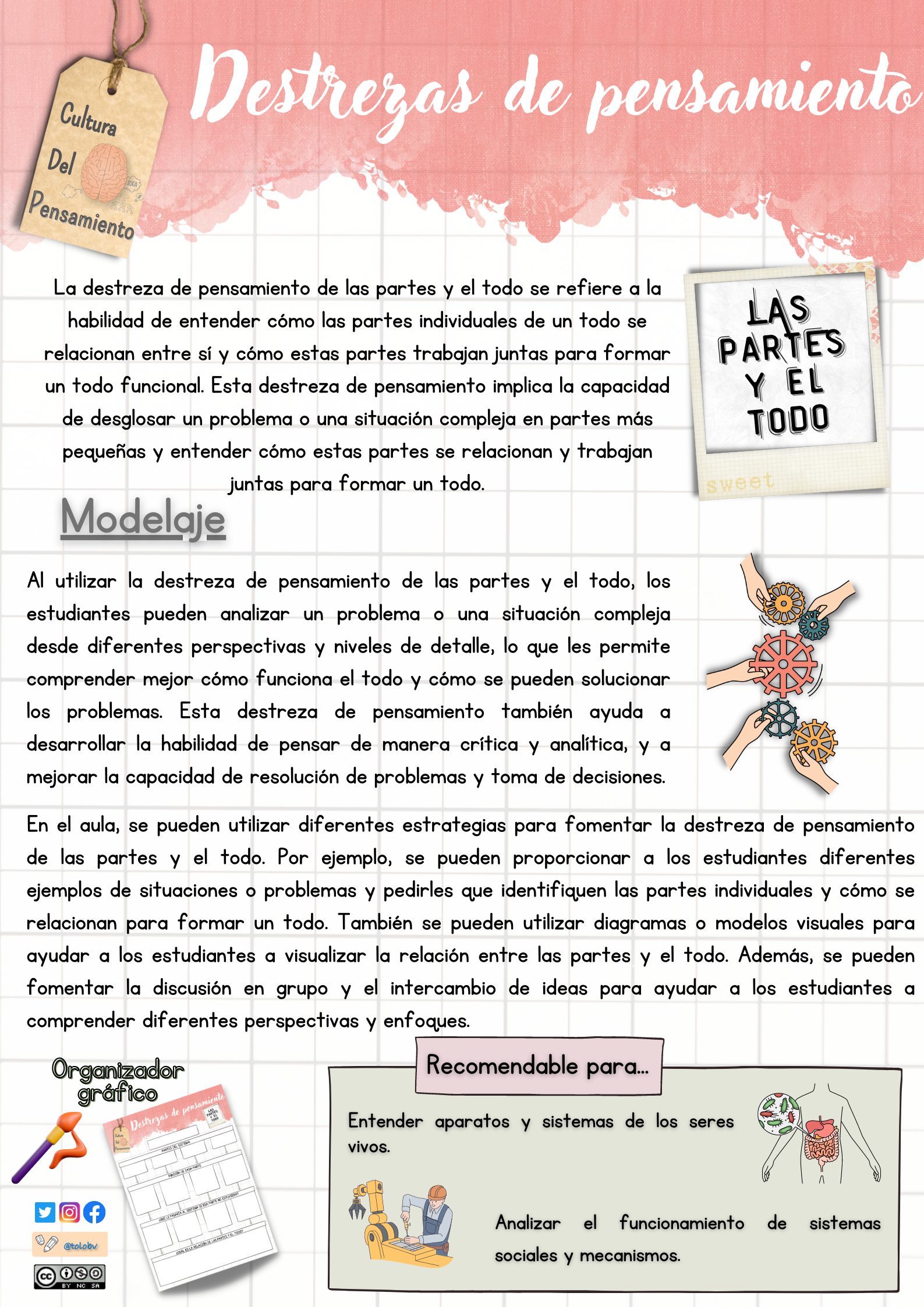 Cómo Trabajar La Destreza De Pensamiento De Las Partes Y El Todo
